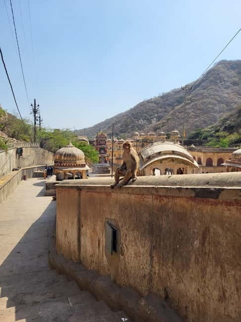 Discover Jaipur - The Sum Up: Why Choose This Jaipur Tour?