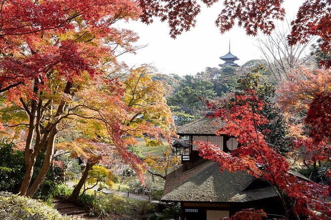 Discover Japan Your Way - An In-Depth Look at the Experience