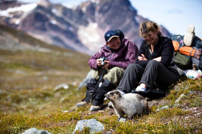Discover Jasper and its Wildlife - Weather Considerations