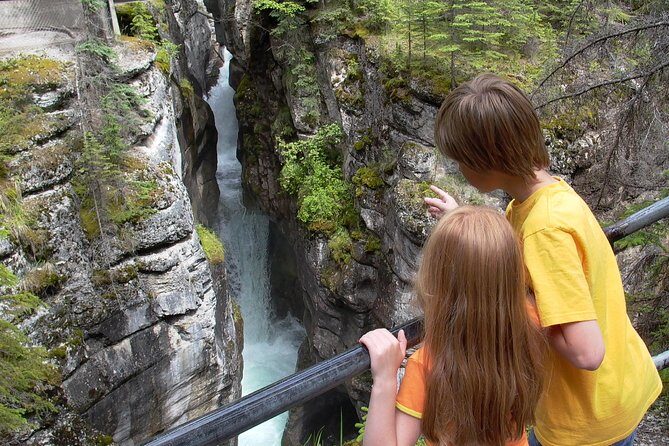 Discover Jasper and its Wildlife - The Up and Downs from Reviews