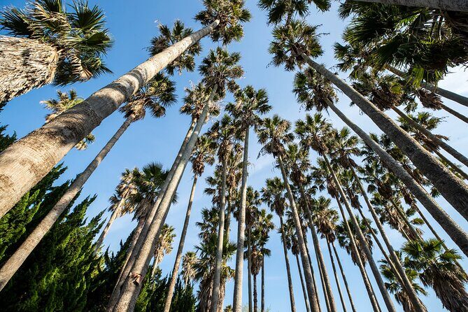 Discover Jeju in 3days: A Curated All-Inclusive Experience - Introduction