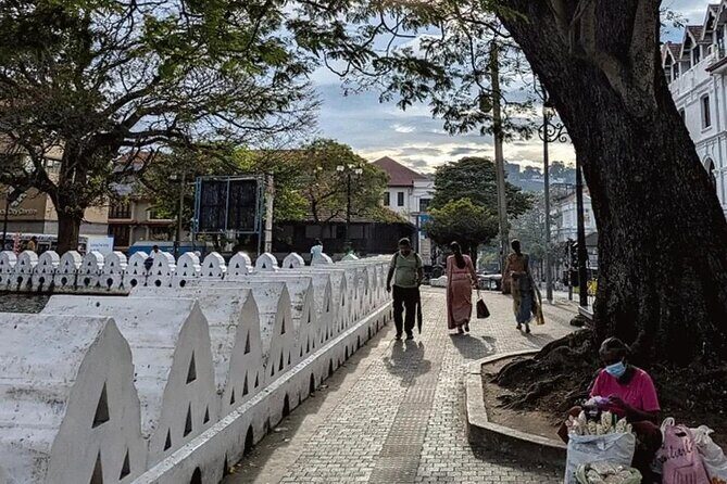 Discover Kandy by Tuk Tuk All inclusion - Key Points