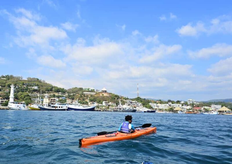 Discover Kayak - The Sum Up: Why Choose This Kayaking Experience?