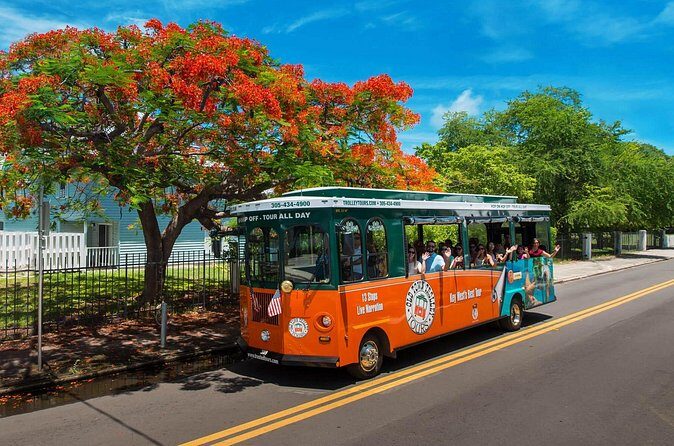 Discover Key West in a Day : Sun, Sea and Paradise - Final Thoughts