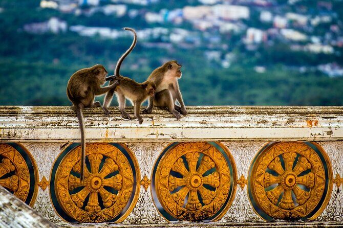 Discover Krabi: Private City Tour Adventure - What Travelers Say: Authentic Perspectives