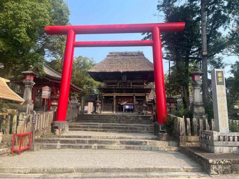 Discover Kumamoto's Hidden Gem: Kumamoto Awaits You - What to Expect from This Tour