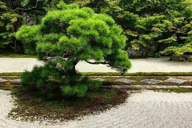 Discover Kyoto by Bike: Authentic Half Day Tour - FAQ