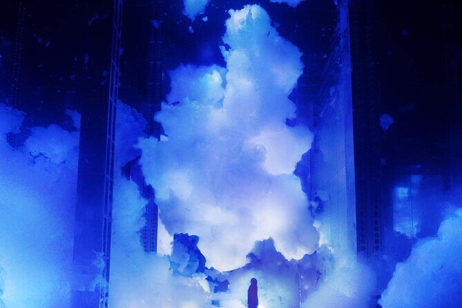 Discover Kyoto TeamLab Biovortex Experience - What’s Included and What’s Not