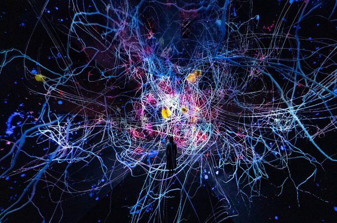 Discover Kyoto TeamLab Biovortex Experience - Practical Tips for Visiting