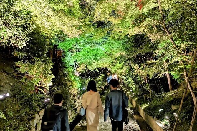 Discover Kyotos Most Magical Night - A Detailed Look at the Experience