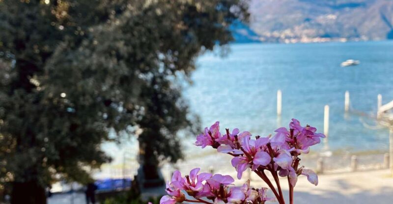 Discover Lake Como & Bellagio with a local - Key Points