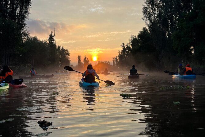 Discover Lake Xochimilco via Kayak Adventure - Key Points