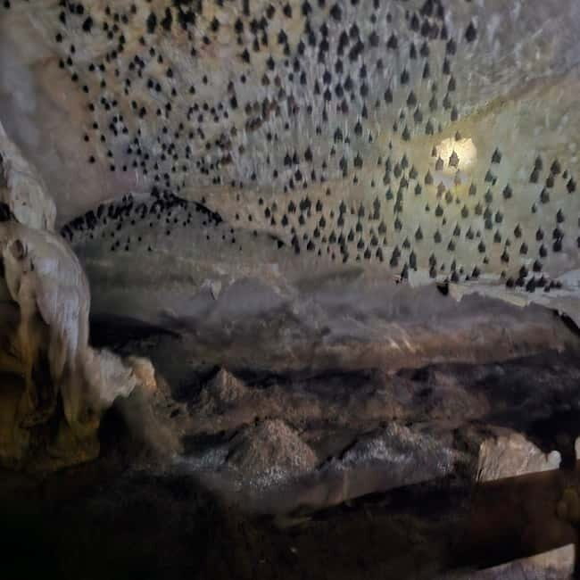 Discover Langkawi Like a local - Private Island Tour - The Practical Details