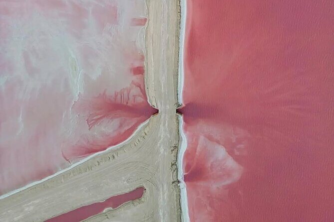 Discover Las Coloradas History on Deluxe Guided tour - Río Lagartos: A Haven of Wildlife