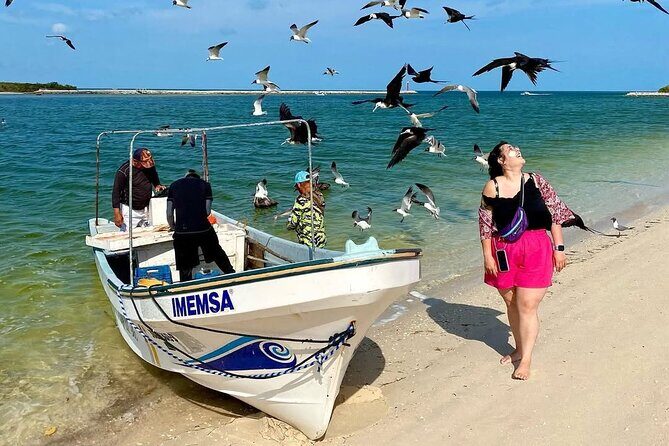 Discover Las Coloradas History on Deluxe Guided tour - Return Trip and Drop-offs
