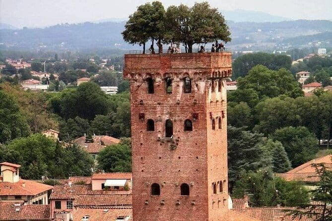 Discover Lucca and Pisa and Enjoy Buccellato Cake: Full Day Tour - Who Will Love This Tour?