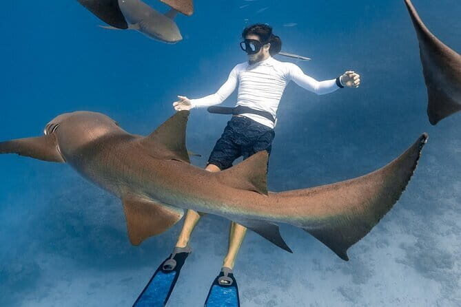 Discover Maafushi in 4 Nights 5 Days (Tour A) - Why You Might Want to Consider This Tour