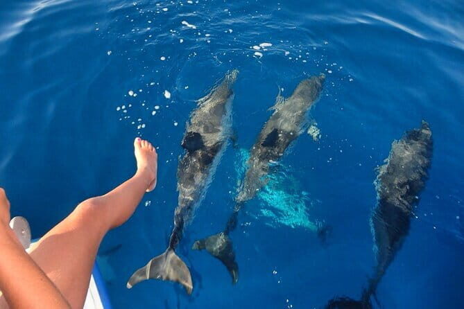 Discover Maafushi in 4 Nights 5 Days (Tour A) - Final Thoughts