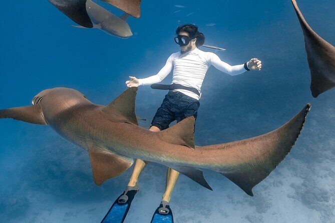 Discover Maafushi in 4 Nights 5 Days (Tour B) - An Honest Take on the Tour Experience