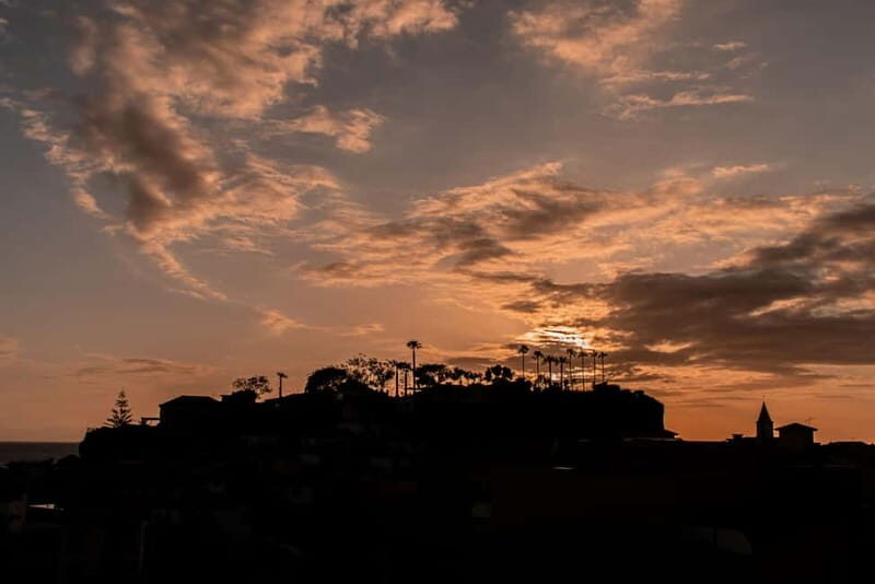 Discover Madeira in your own way: Private full-day tour - Key Points