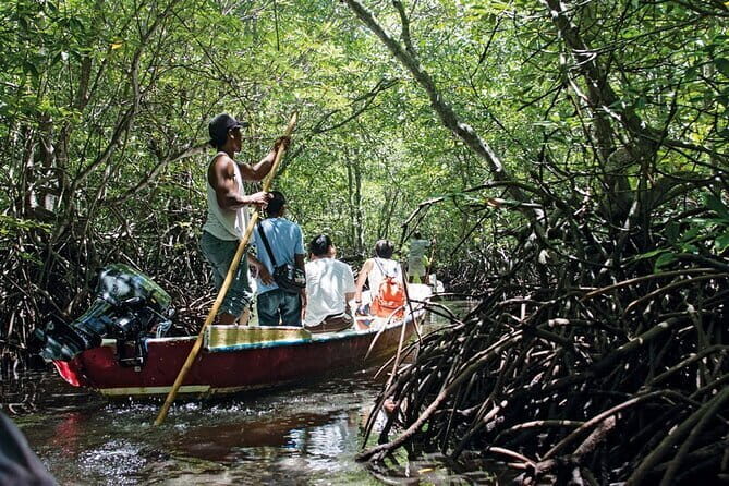 Discover Mangrove Forest and Cave Tour in Langkawi (Shared Tour) - Authentic Experiences and Real Traveler Feedback