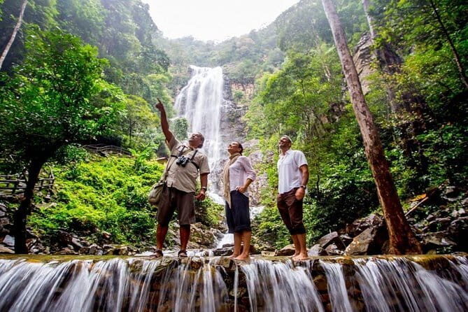 Discover Mangrove Forest and Cave Tour in Langkawi (Shared Tour) - Practical Tips for Travelers