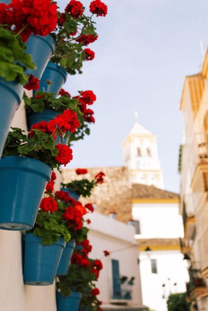 Discover Marbella's Old Town with five-star private tour - Key Points
