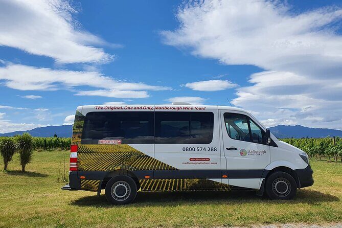 Discover Marlborough Wine - Afternoon Marlborough Wine Tour - Authentic Experiences and Highlights