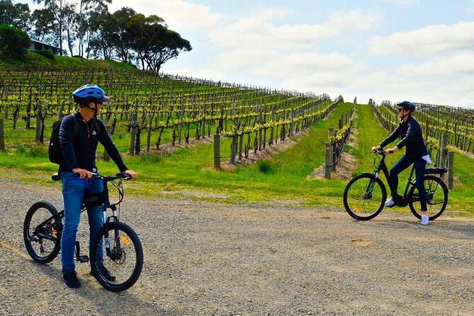 Discover McLaren Vale on eBikes - Full Day - Exploring McLaren Vale on eBikes: An In-Depth Look