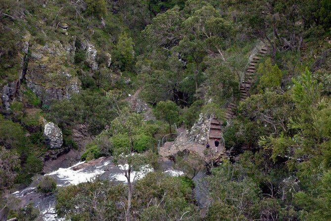 Discover Melbourne City and Penguin Parade Eco Tour - What Travelers Say