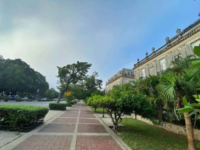 Discover Mérida: city tour - Key Points