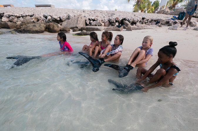 Discover Mermaid - Who Should Consider This Tour?