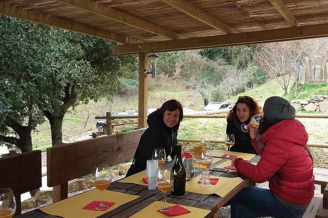 Discover Montalcino through its best productions: Brunello & Saffron!! - FAQ