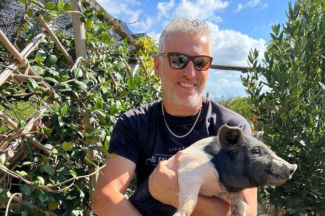 Discover Montepulciano: Cinta Senese Pigs, Lunch & wine in a Farm - Key Points