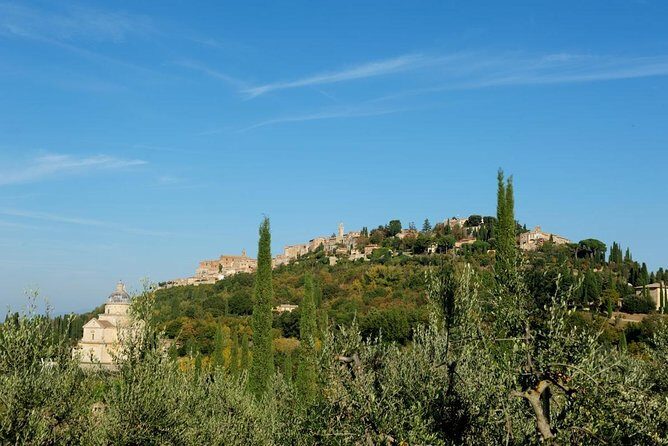 Discover Montepulciano: Cinta Senese Pigs, Lunch & wine in a Farm - The Itinerary: A Closer Look