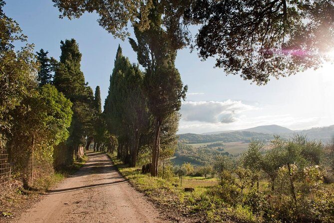 Discover Montepulciano: Cinta Senese Pigs, Lunch & wine in a Farm - The Sum Up: Who Will Love This Tour?