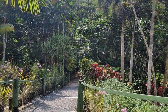 Discover Nadi Fiji Private Tour (All Fees Included) - An In-Depth Look at the Nadi Private Tour