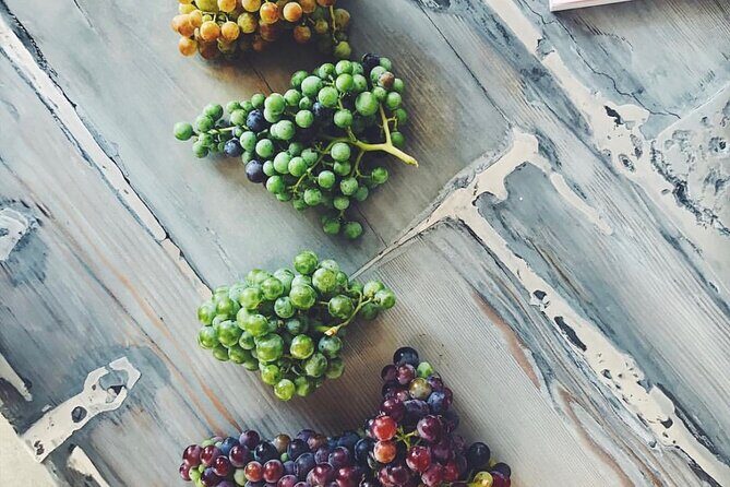 Discover Napa Valleys Hidden Gems with Local Sommelière - An Authentic Taste of Napa’s Hidden Side