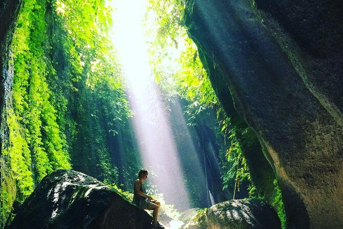 Discover Nature of Bali - Final Thoughts: Who Will Love This Tour?