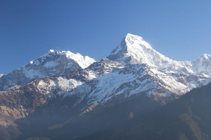 Discover Nepal: 12 Day Trekking and Wildlife Expedition - Key Points