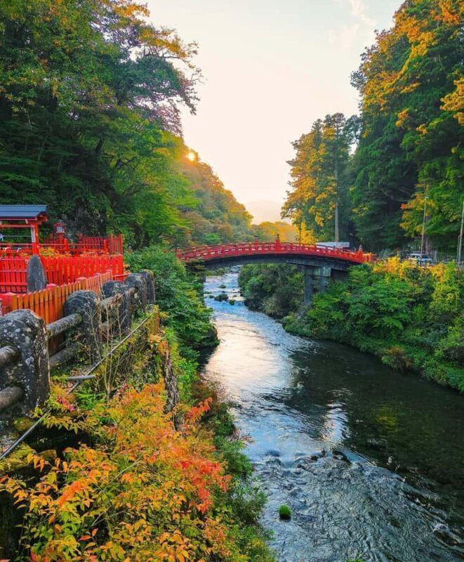 Discover Nikko Full-Day Private Tour from Tokyo - An In-Depth Look at the Tour Experience