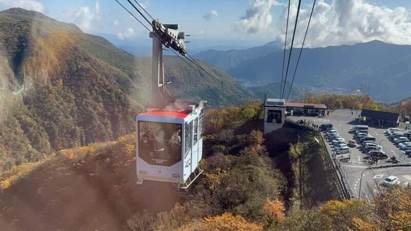 Discover Nikko Full-Day Private Tour from Tokyo - Final Thoughts