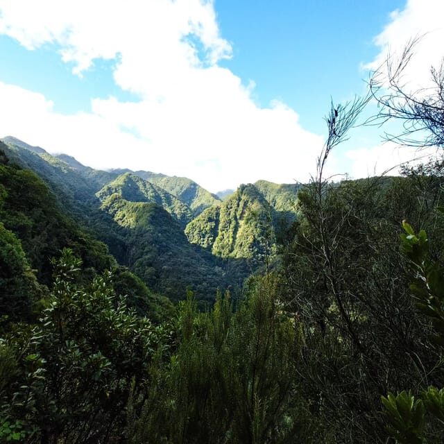 Discover one of our island's levadas in a relaxing way? - Key Points