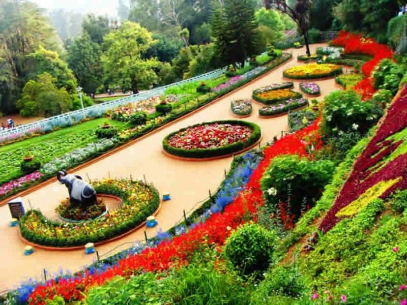 Discover Ooty in a Day  Gardens, Lake & Local Market - Ooty Lake: Peaceful Waters and Local Charm