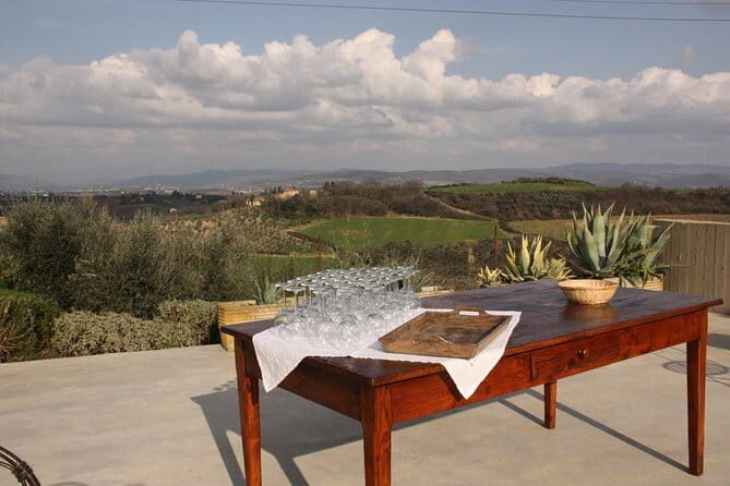 Discover Organic and Biodynamic Chianti Small Wineries - Practical Tips for Travelers
