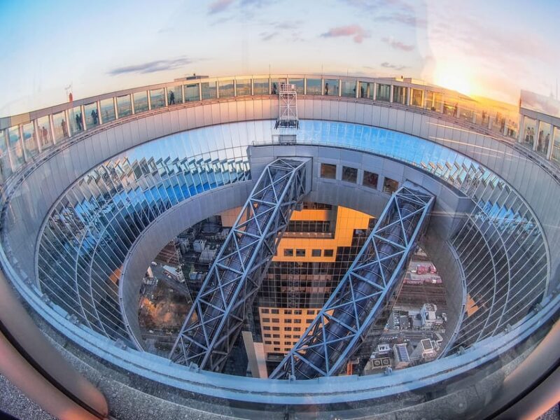 Discover Osaka, Private Customizable Tour with Expert Guides - Final Thoughts: Who Is This Tour Best For?