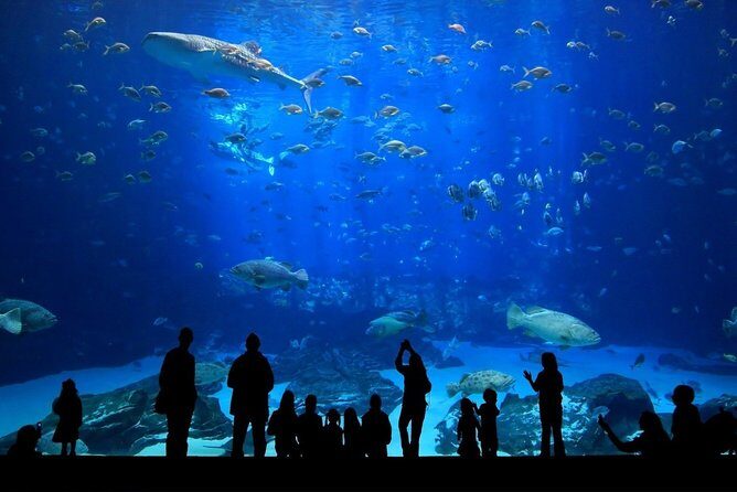 Discover Pattaya Underwater World with FREE Hotel Pickup - Frequently Asked Questions (FAQs)