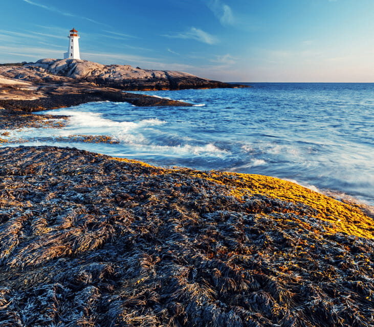Discover Peggy's Cove: Private Journey from Halifax - The Value of This Tour