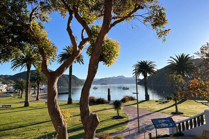 Discover Picton: Self-Guided Audio Tour - Insights from Reviews