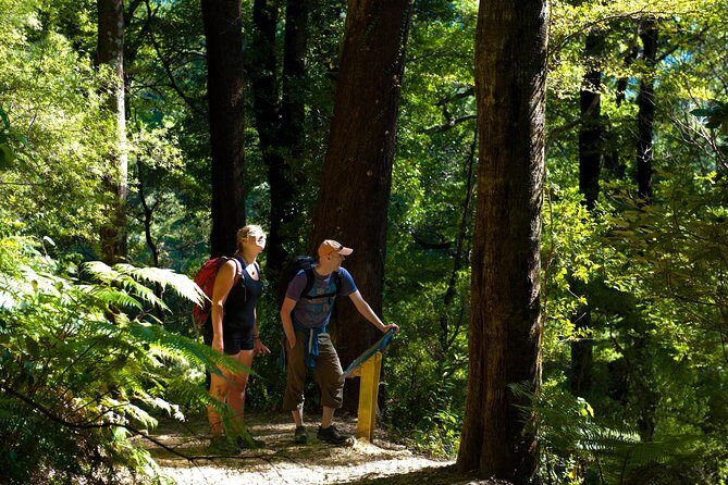Discover Picton: Self-Guided Audio Tour - Pricing and Value